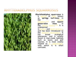 project in science | PPTX | Gardening | Home & Garden