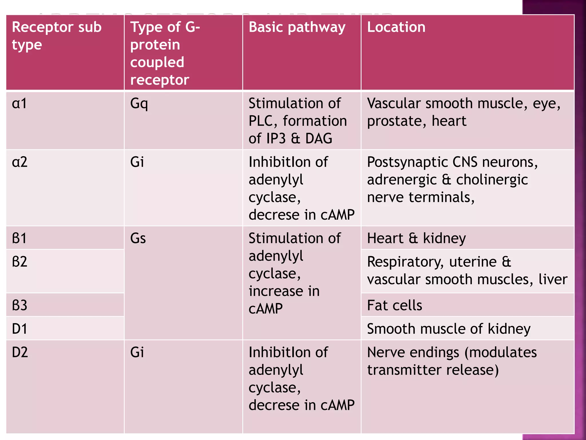 adrenergic agonists & antagonists | PPTX
