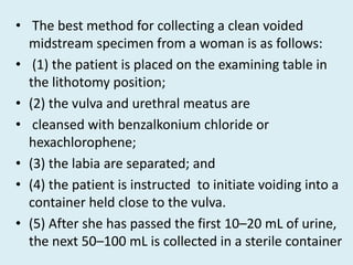Complete urine examination | PPTX