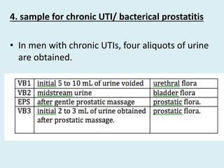 Complete urine examination | PPTX