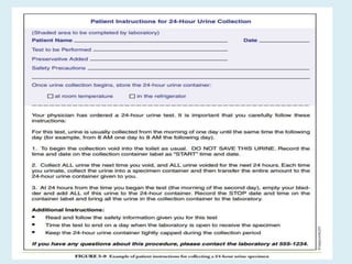 Complete urine examination | PPTX