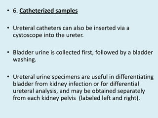 Complete urine examination | PPTX