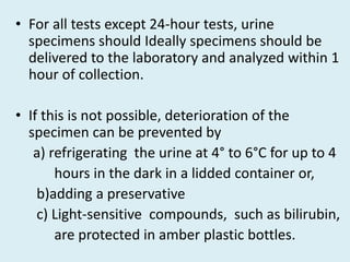 Complete urine examination | PPTX