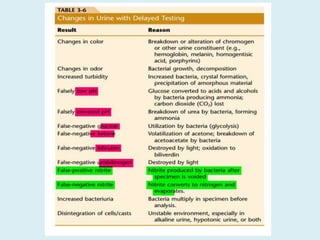 Complete urine examination | PPTX