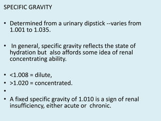 Complete urine examination | PPTX