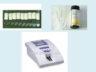 Complete urine examination | PPTX