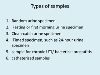 Complete urine examination | PPTX