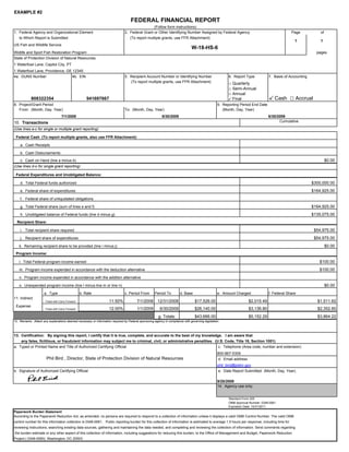 Completing The FFR SF-425 Version 1 1 Final9309pm | PDF