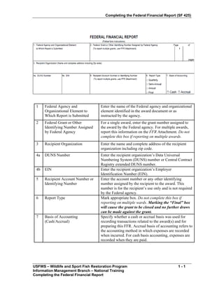 Completing The FFR SF-425 Version 1 1 Final9309pm | PDF