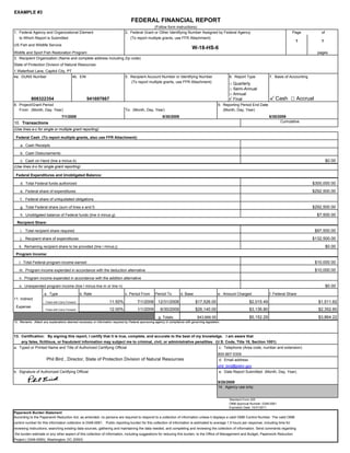 Completing The FFR SF-425 Version 1 1 Final9309pm | PDF