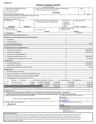Completing The FFR SF-425 Version 1 1 Final9309pm | PDF