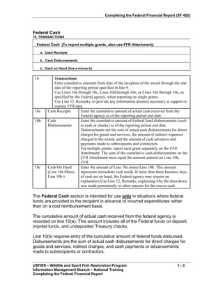 Completing The FFR SF-425 Version 1 1 Final9309pm | PDF