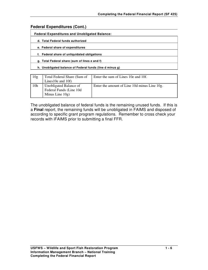 Completing The FFR SF-425 Version 1 1 Final9309pm