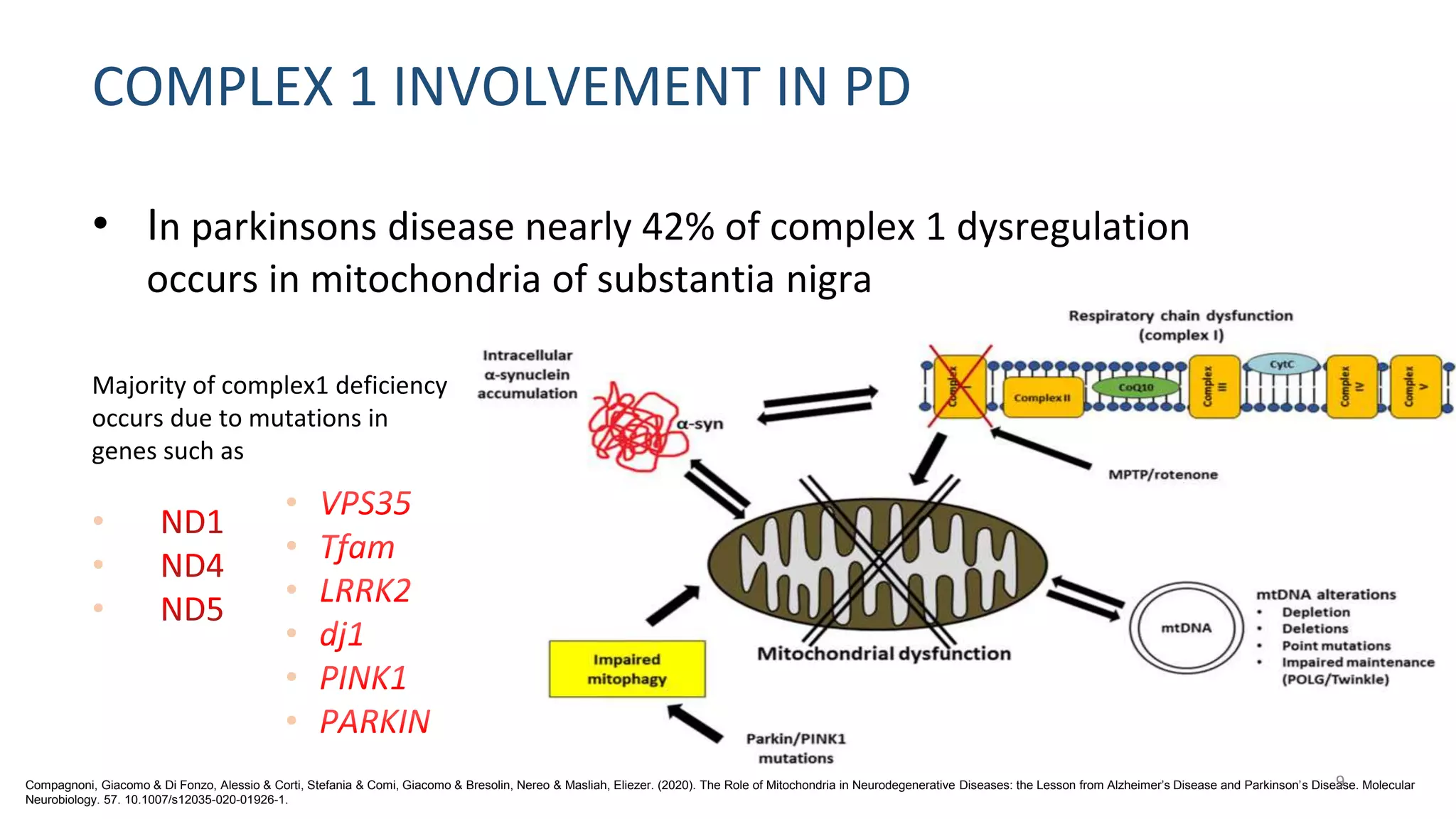 MITOCHONDRIAL COMPLEX 1 ROLE IN PARKINSONISM | PPTX