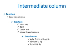 Complex Distal Radius Fracture #dr_azanki | PPTX