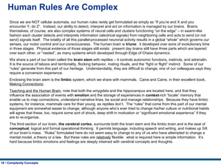 Complexadaptivesystemstheory 12613245196525-phpapp02 | PPT