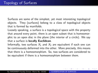 Classification of Surfaces(Geometry).pdf