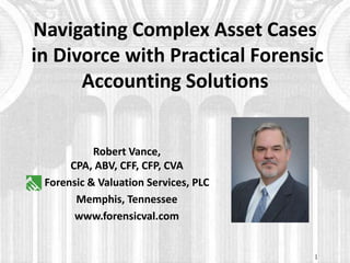 Navigating Complex Assets in Divorce with Practical Forensic Accounting ...