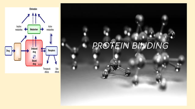 Complexation and protein binding .pdf