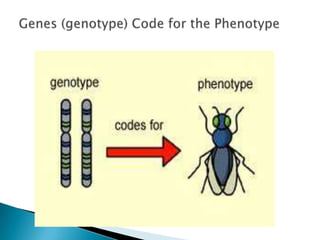 Complex diseases | PPTX