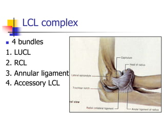Complex elbow injury 2013 | PPT