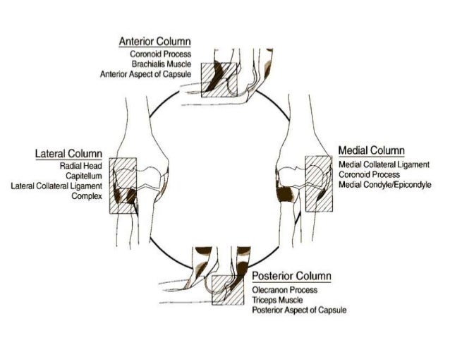 Complex elbow injury 2013