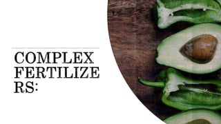 Complex fertilizers presentation | PPTX