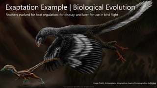 Complexity Science Through the Lens of Gardening | PPT