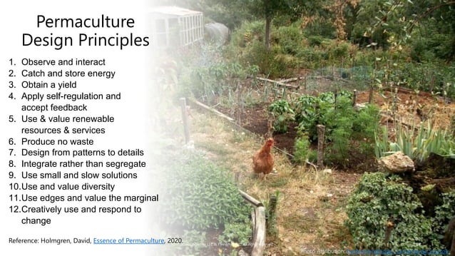 Complexity Science Through the Lens of Gardening | PPT