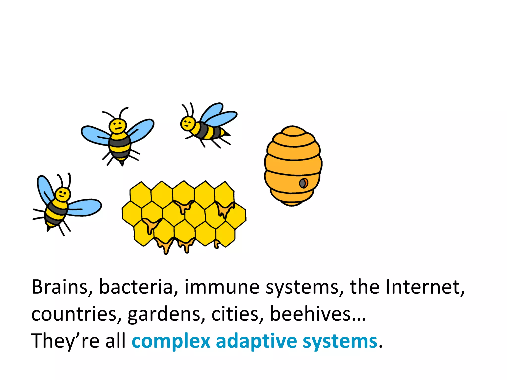 Complexity Thinking | PDF