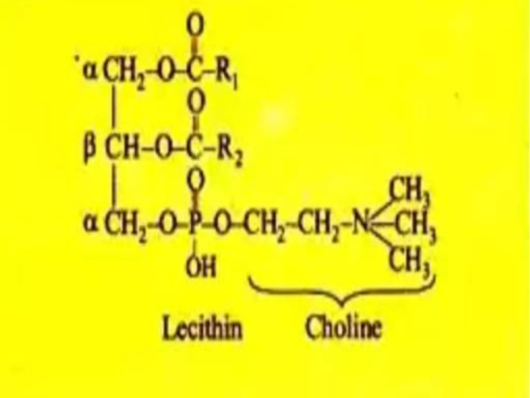 Complex lipids (phosholipid) structure & function | PPTX | Chemistry ...