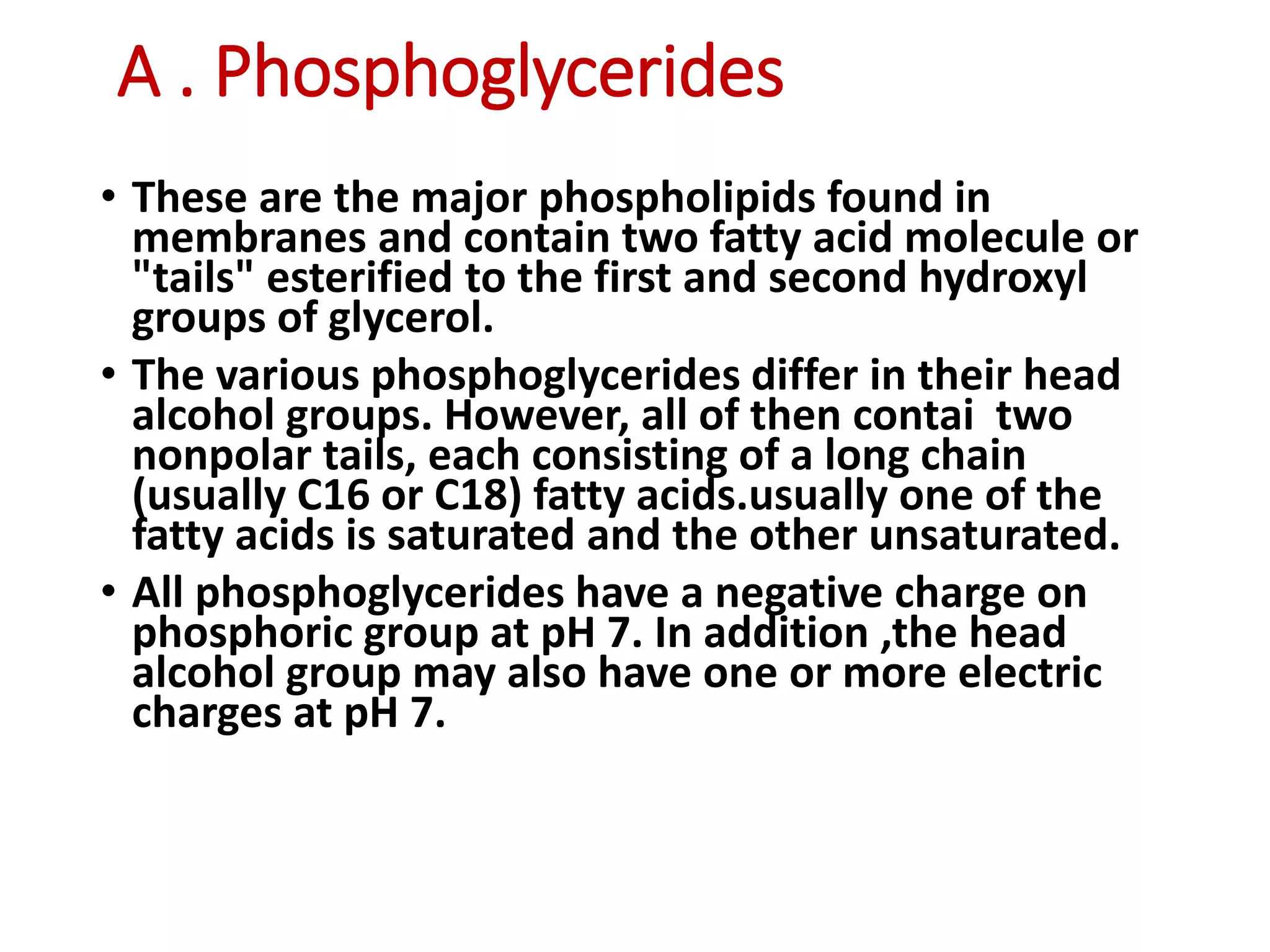 Complex lipids (phosholipid) structure & function | PPTX