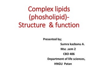 Complex lipids (phosholipid) structure & function | PPTX