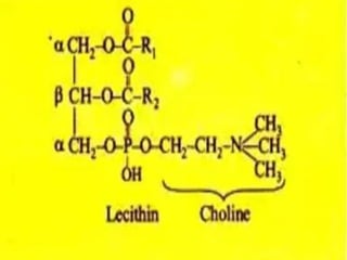 Complex lipids (phosholipid) structure & function | PPTX | Chemistry ...