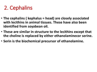Complex lipids (phosholipid) structure & function | PPTX