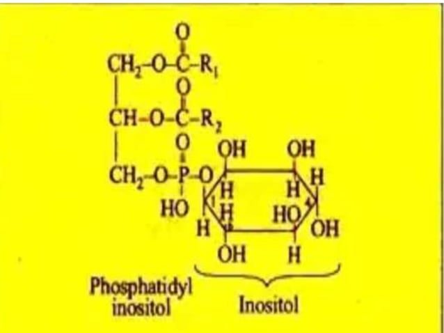 Complex lipids (phosholipid) structure & function | PPTX | Chemistry ...