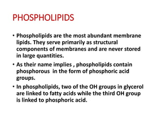 Complex lipids (phosholipid) structure & function | PPT