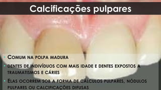 COMPLEXO DENTINO-PULPAR E SUAS FUNCIONALIDADES NA ODONTOLOGIA | PDF