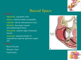 Complex odontogenic infections | PPT