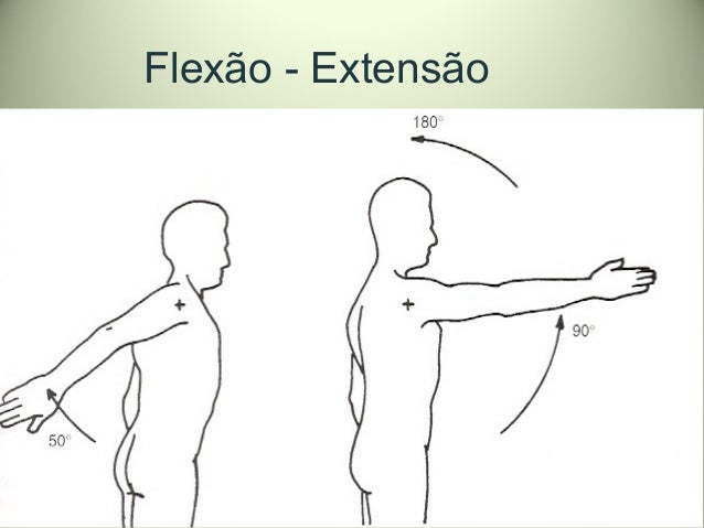 Complexo do ombro 2013 - 2