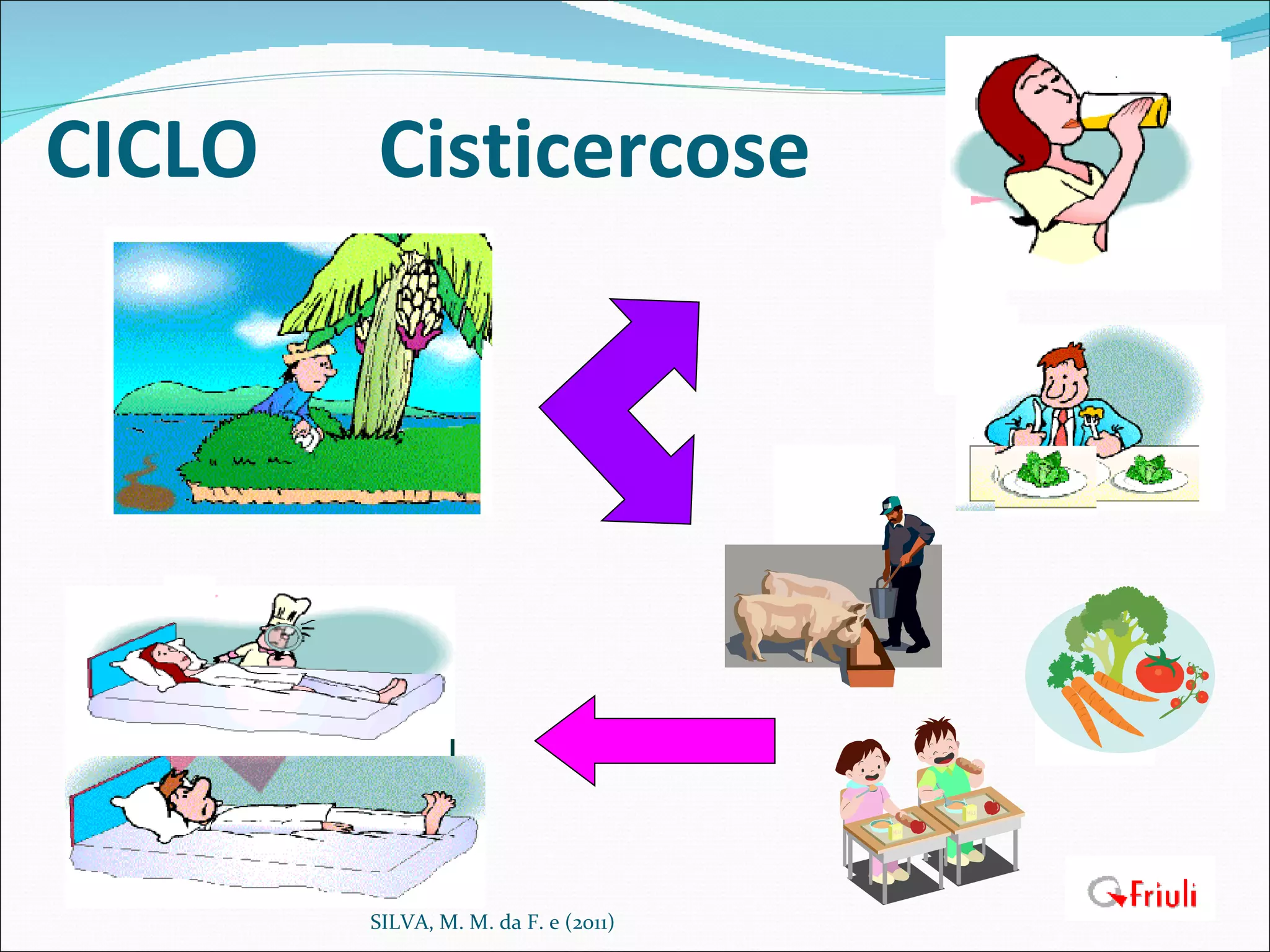 Complexo teníase cisticercose | PPT