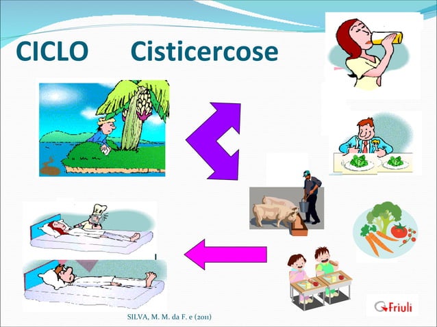 Complexo teníase cisticercose | PPT