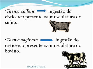 Complexo teníase cisticercose | PPT