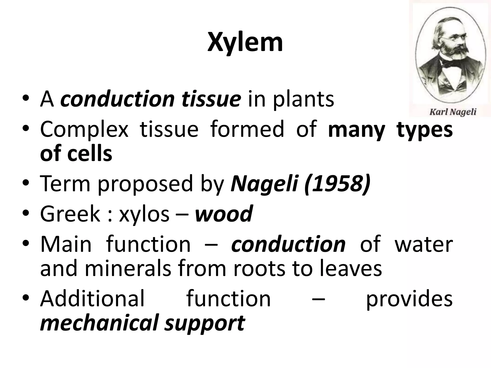 Complex permanent tissue | PPTX