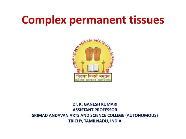 Complex permanent tissue | PPTX