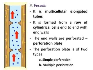 Complex permanent tissue | PPTX