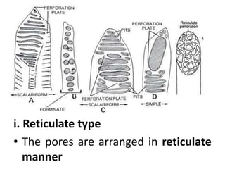 Complex permanent tissue | PPTX