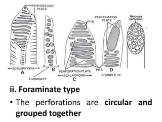 Complex permanent tissue | PPTX