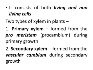 Complex permanent tissue | PPTX