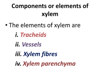 Complex permanent tissue | PPTX